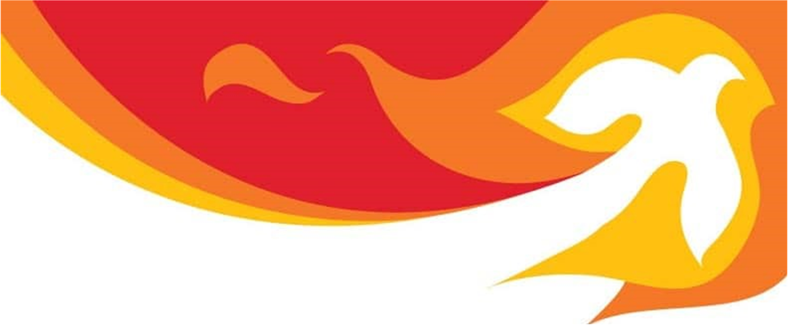 Religiosas del Sagrado Corazón en España. RSCJ